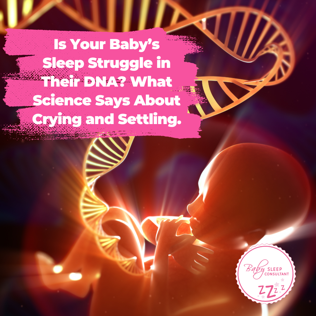 Is Your Baby’s Sleep Struggle in Their DNA? What Science Says About Crying and Settling.